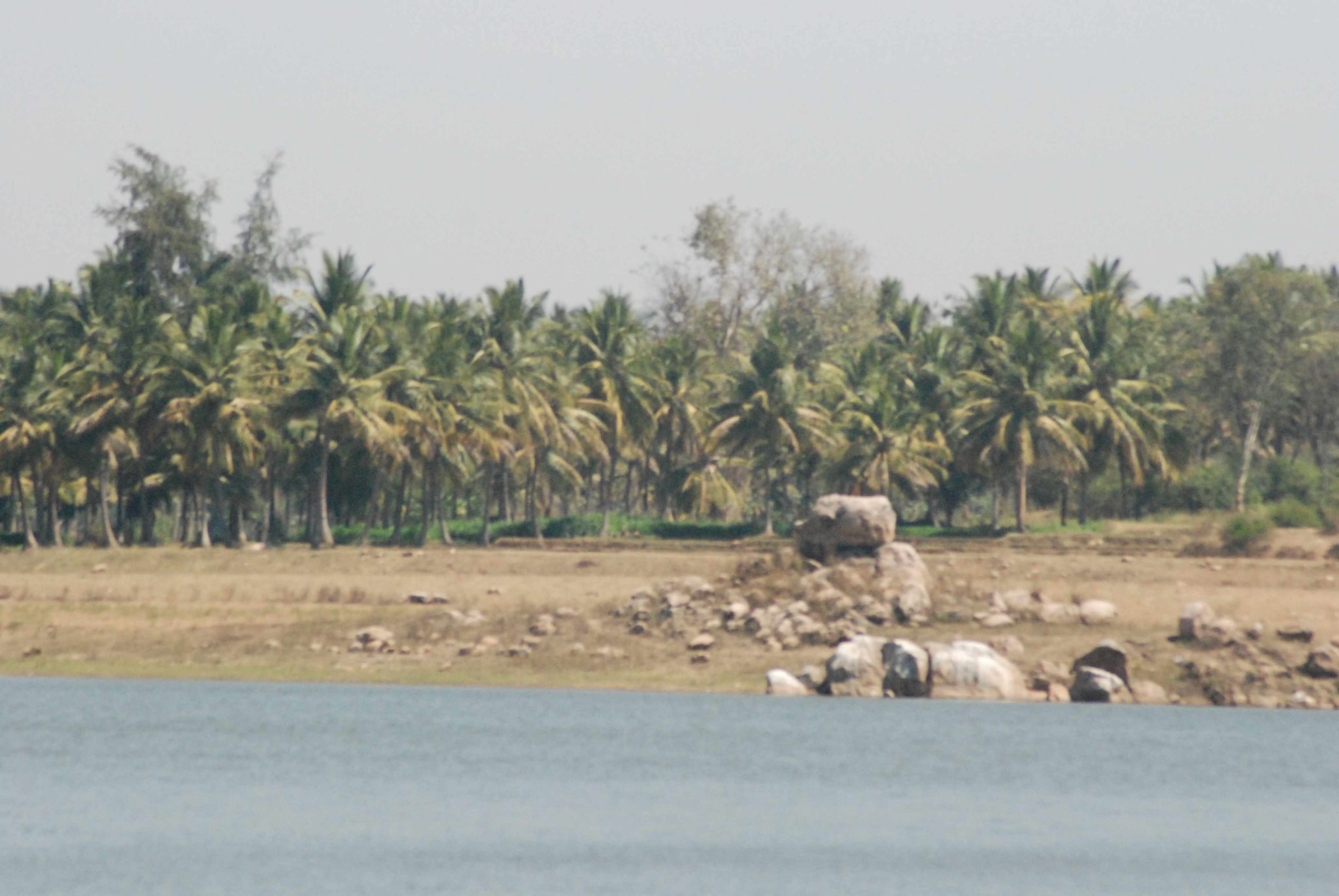 Kanva Reservoir - Far away from the honking crowd. - Ghumakkar ...