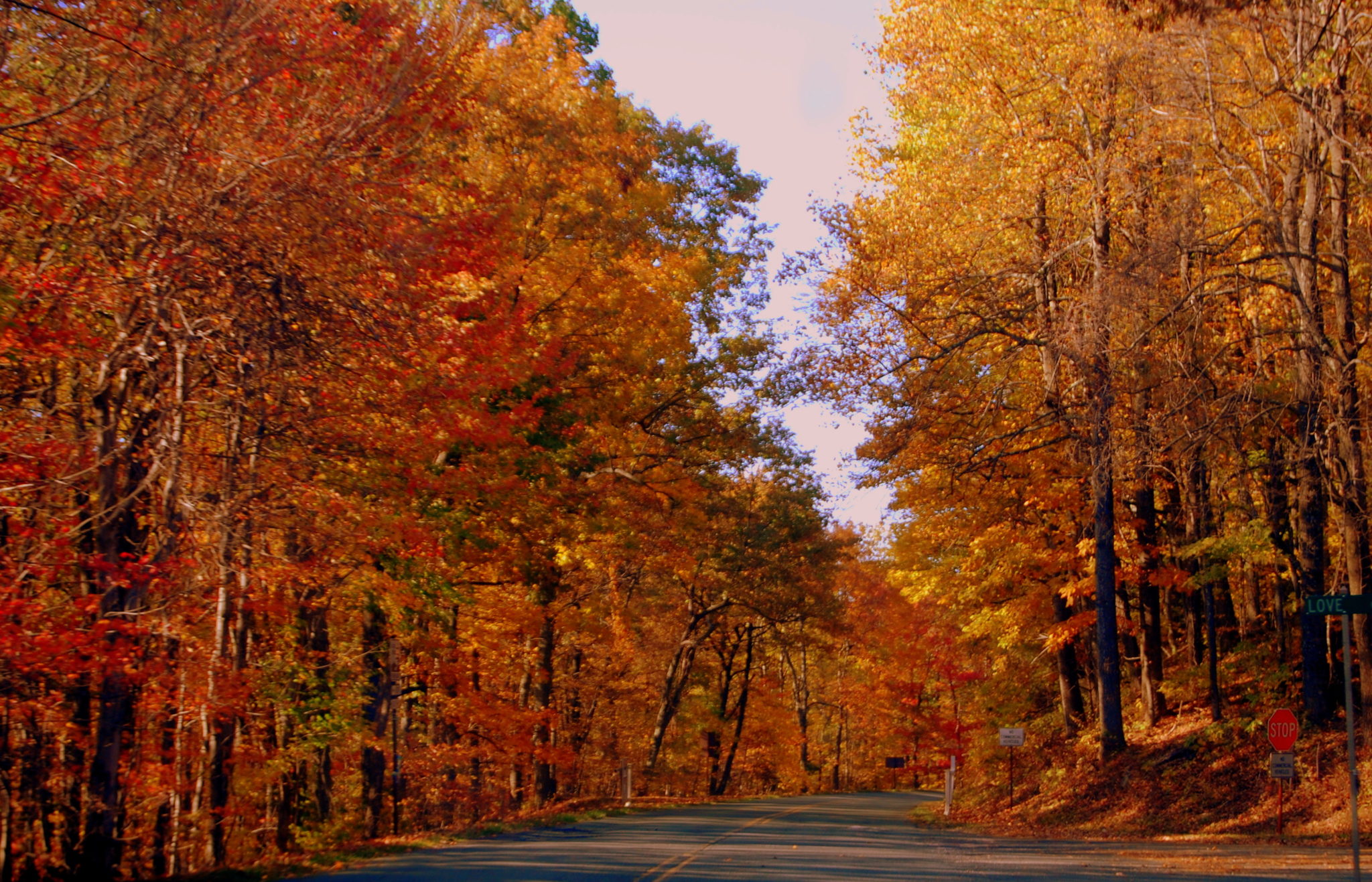 Fall in Virginia - Ghumakkar - Inspiring travel experiences.