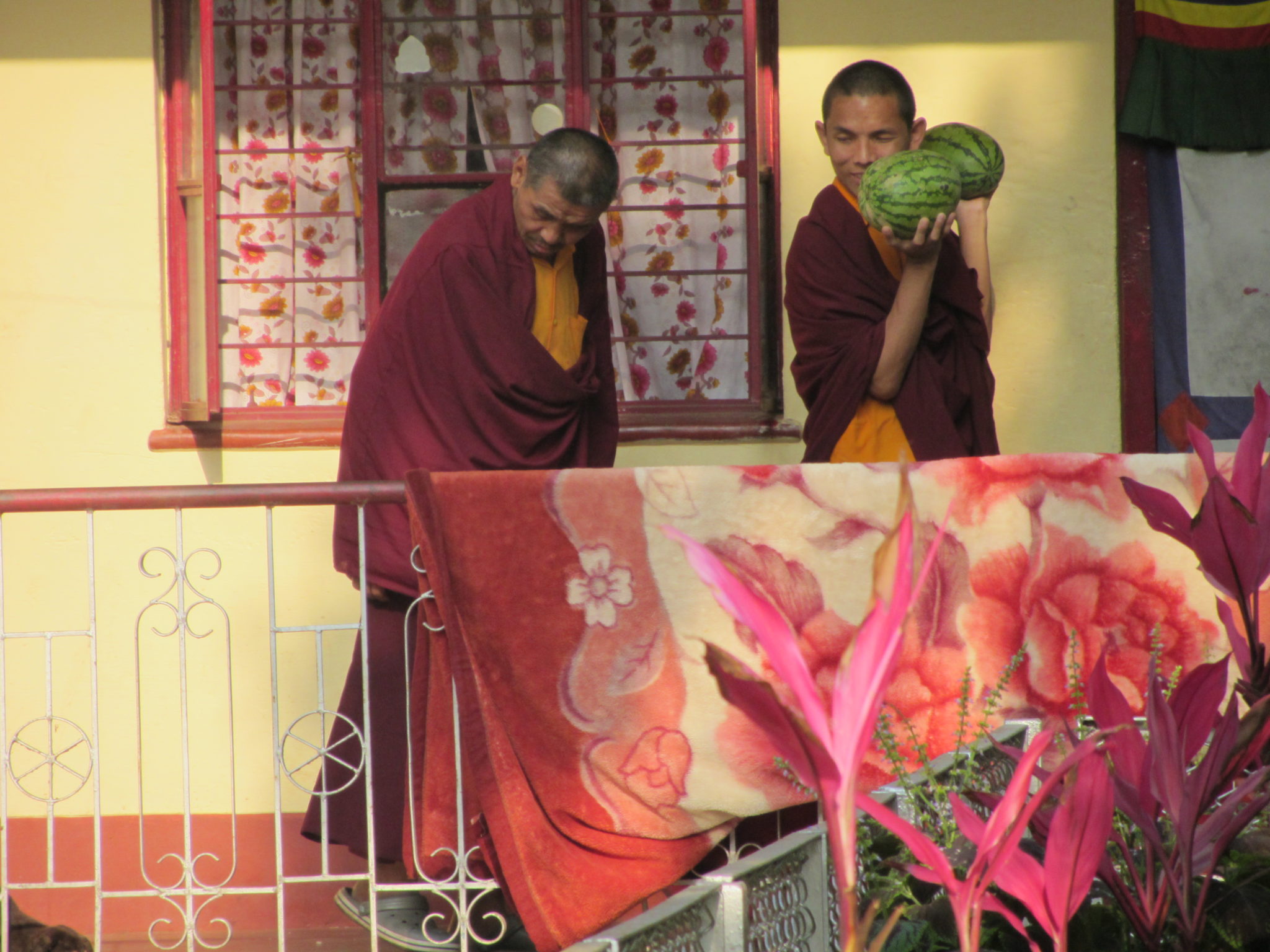 PIC 15-Monks in their colorful red robes - Ghumakkar - Inspiring travel ...