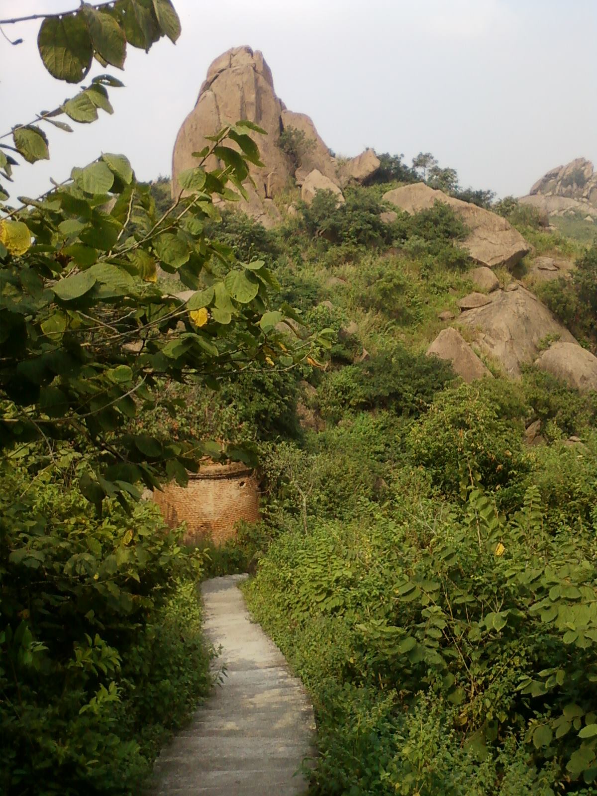 Joychandi Pahar - a Recollection - Ghumakkar - Inspiring travel ...