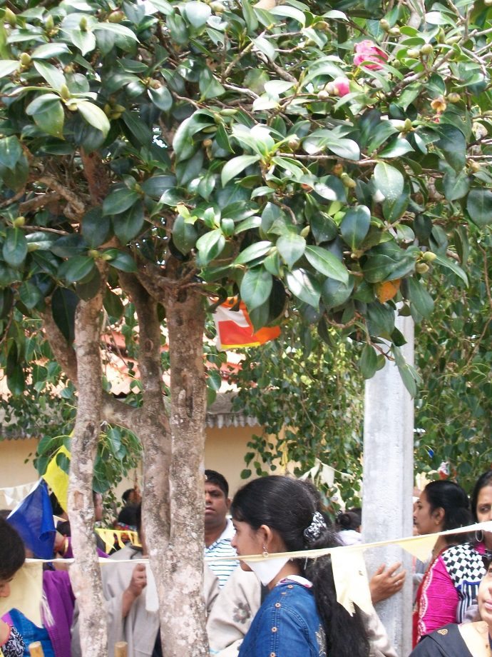 On The Ramayana Trail in Sri Lanka - Ghumakkar - Inspiring travel ...