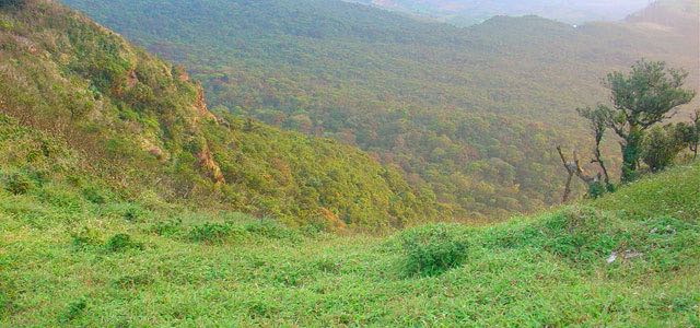 Beautiful Ashokavanam - Ghumakkar - Inspiring travel experiences.